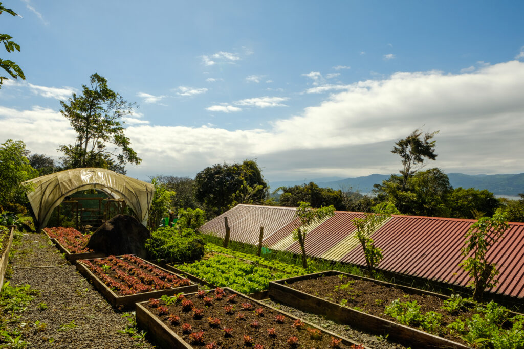 NATURES BOUNTY – Certified Organic Farm on Lake Arenal – Rico Realty